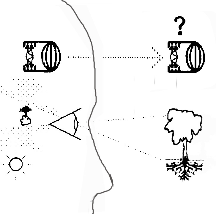 Advances in Natural Systems Design Science | Reading Nature's Signals ...